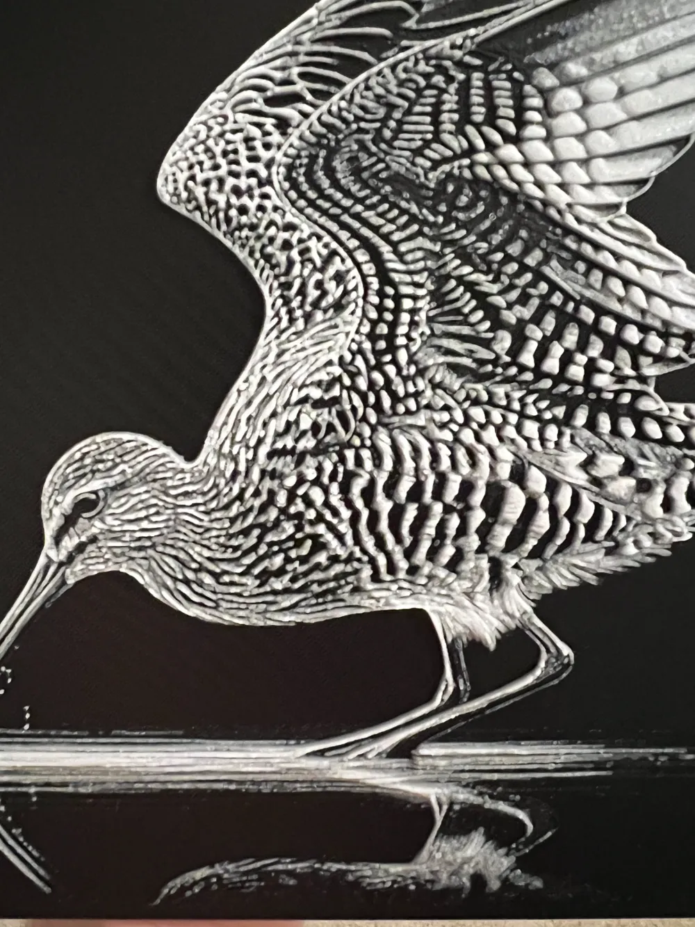 Curlew Art Hueforge by RP47 Designs - MakerWorld