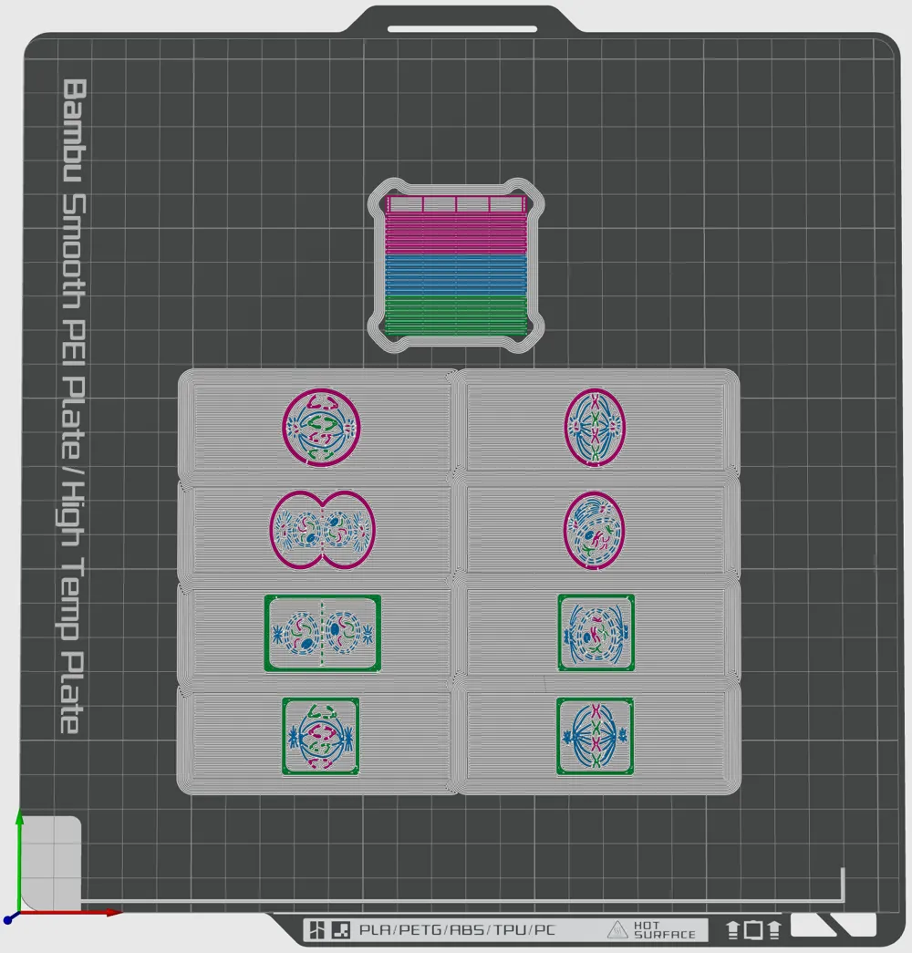 Plant & Animal Mitosis Slides - Free 3D Print Model - MakerWorld