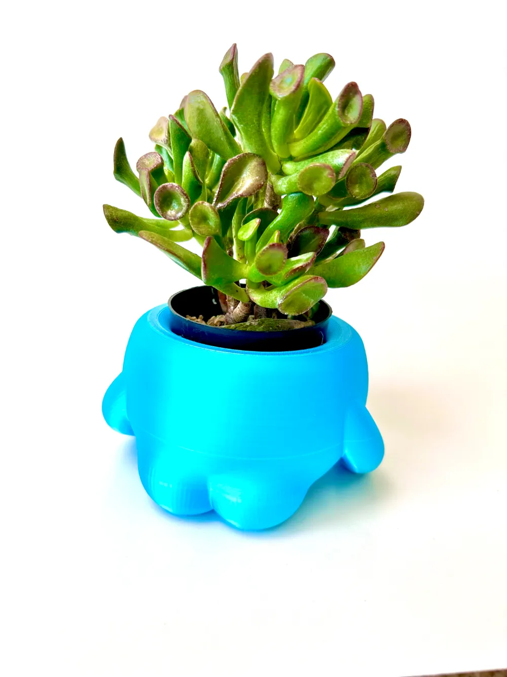 Cheeky Plant Pot by A1 - MakerWorld