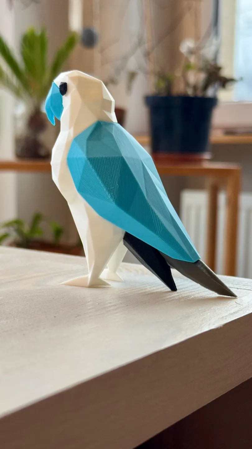 Multicolor Parrot - multi parts (to assembly) by pablodesign MakerWorld ...