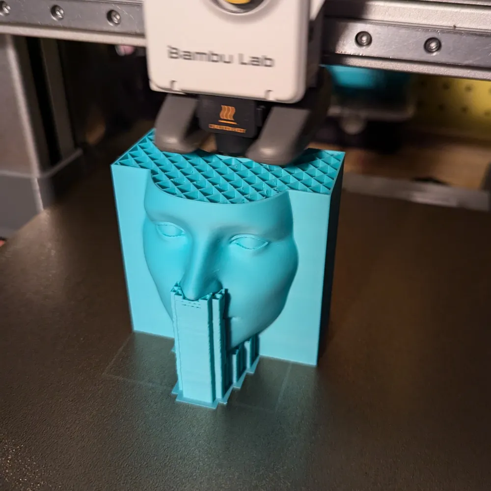 Hollow Mask Illusion - Free 3D Print Model - MakerWorld