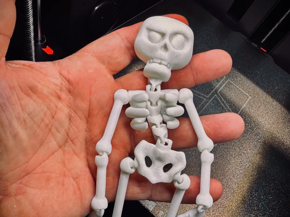Articulated Bicolor Skeleton - 3D Halloween Decor by 3DPrint_Masters ...