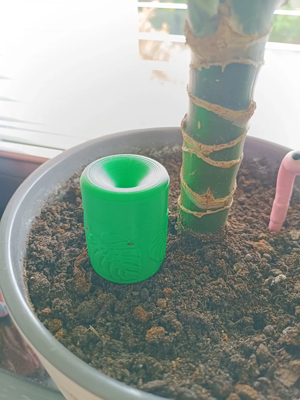 Trap for scab flies and fruit flies by Pyciu MakerWorld: Download Free ...