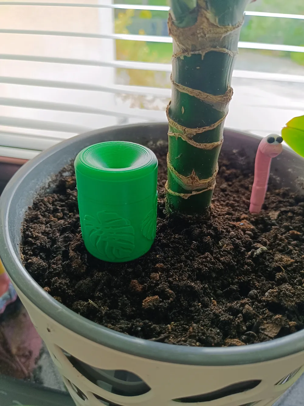 Trap for scab flies and fruit flies by Pyciu MakerWorld: Download Free ...