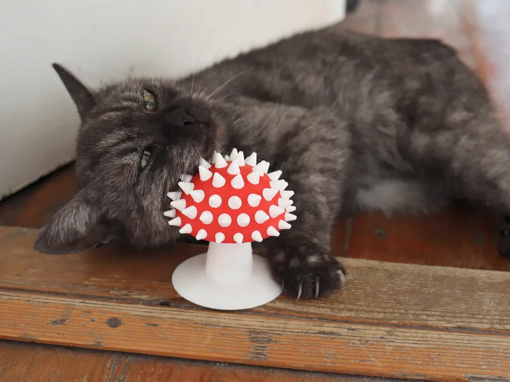 Spiky Mushroom Cat Self Scratcher Groomer by Johnny_Bit MakerWorld: Download Free 3D Models