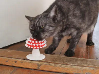 Spiky Mushroom Cat Self Scratcher Groomer by Johnny_Bit MakerWorld: Download Free 3D Models