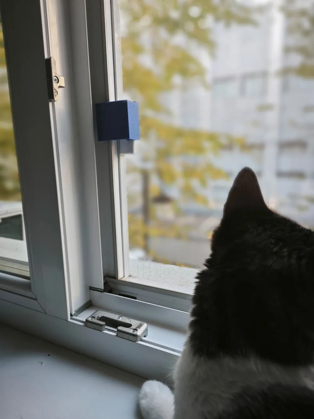 Window Mosquito Net Anti-Opening Lock for Cats by Megahertz MakerWorld ...