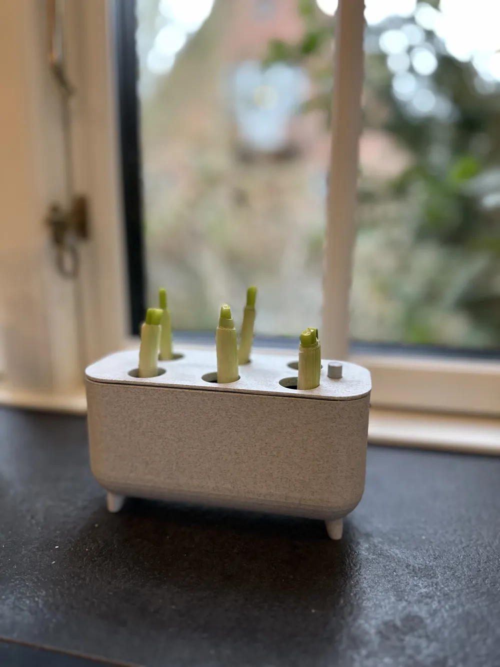 Spring Onion ReGrow Planter - Free 3D Print Model - MakerWorld