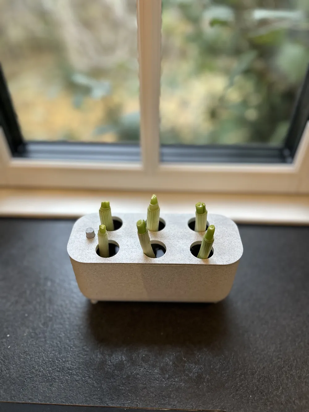 Spring Onion ReGrow Planter - Free 3D Print Model - MakerWorld