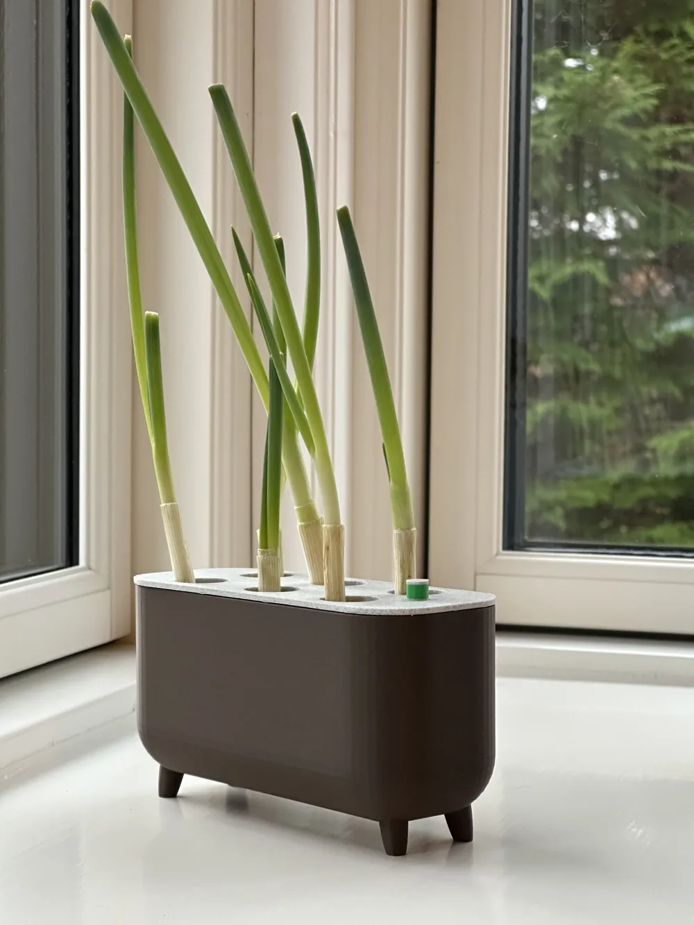 Spring Onion ReGrow Planter - Free 3D Print Model - MakerWorld