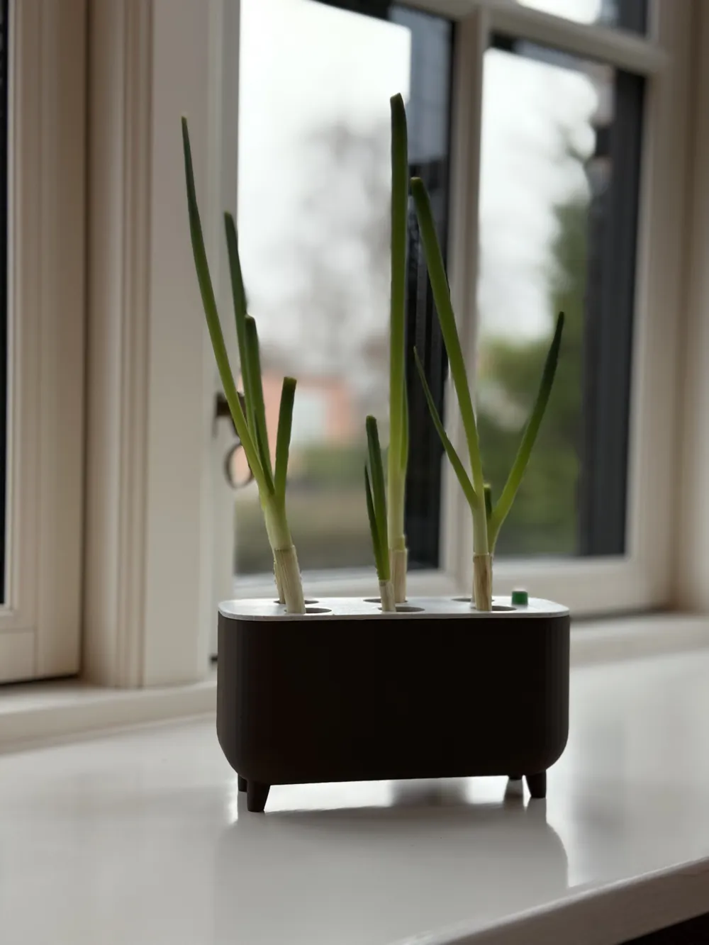 Spring Onion ReGrow Planter - Free 3D Print Model - MakerWorld