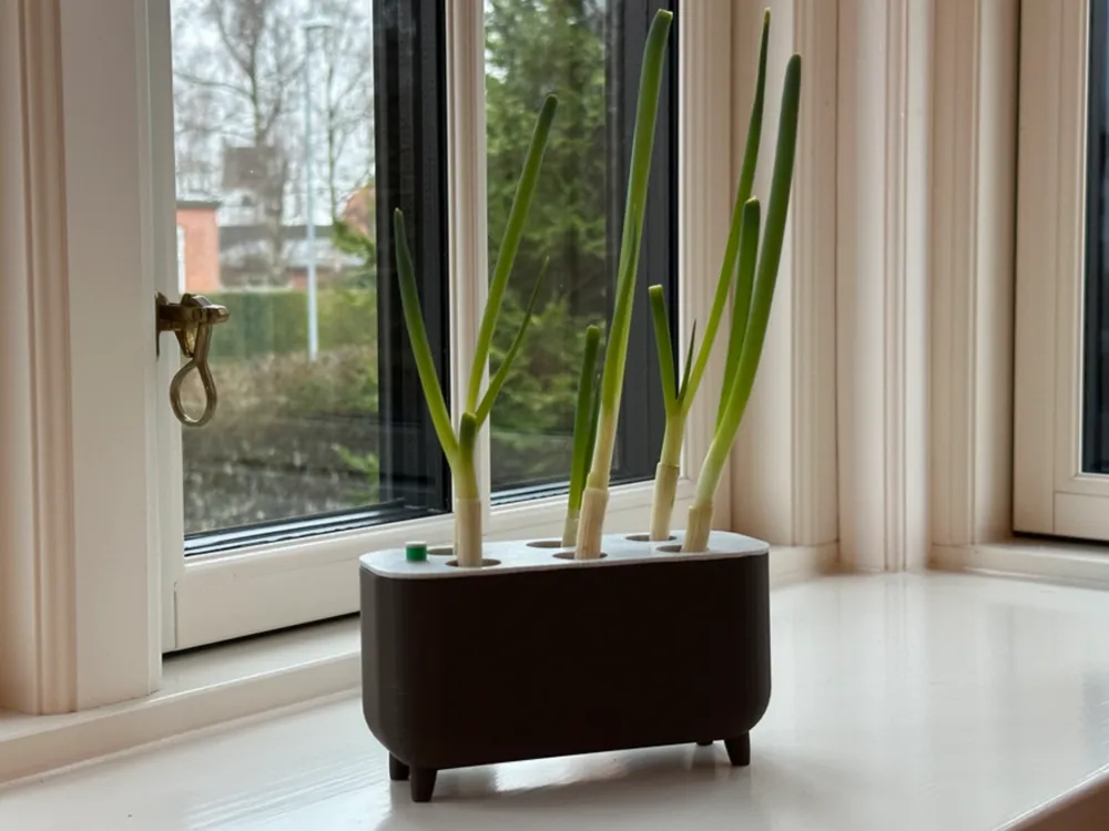 Spring Onion ReGrow Planter - Free 3D Print Model - MakerWorld