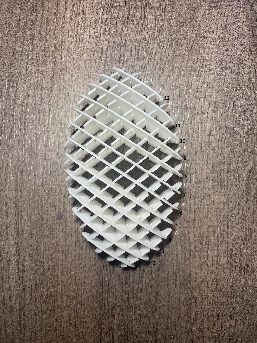 Morf Fidget Worm by jakubs MakerWorld: Download Free 3D Models