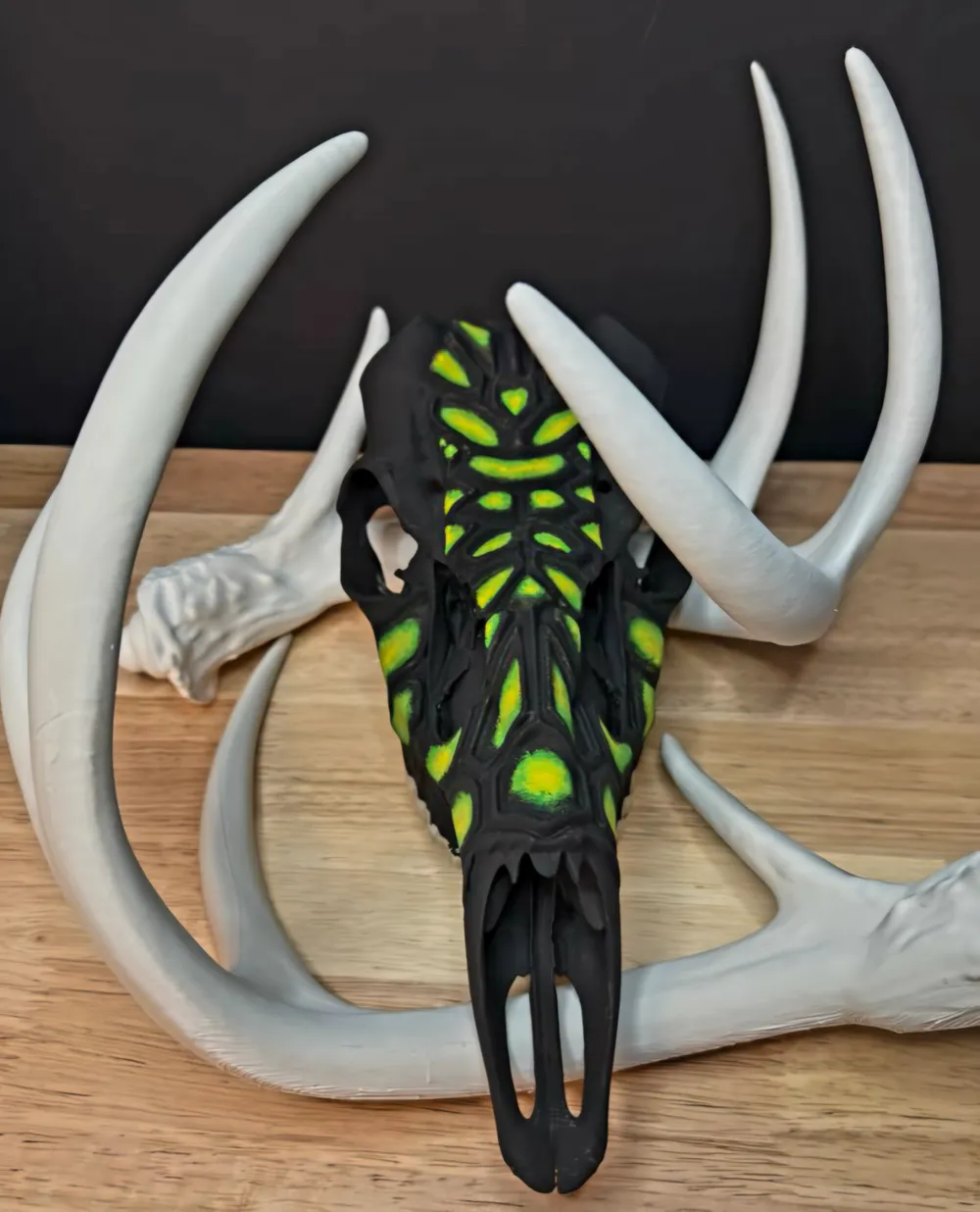 "Monster" Deer Antler Mount - Whitetail Hunter! by DTM247 MakerWorld ...