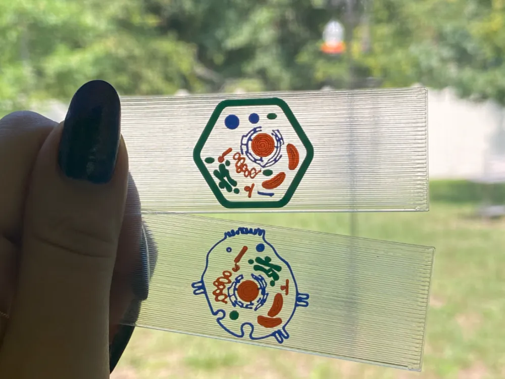 Animal and Plant Cell Printable Microscope Slides by val - MakerWorld