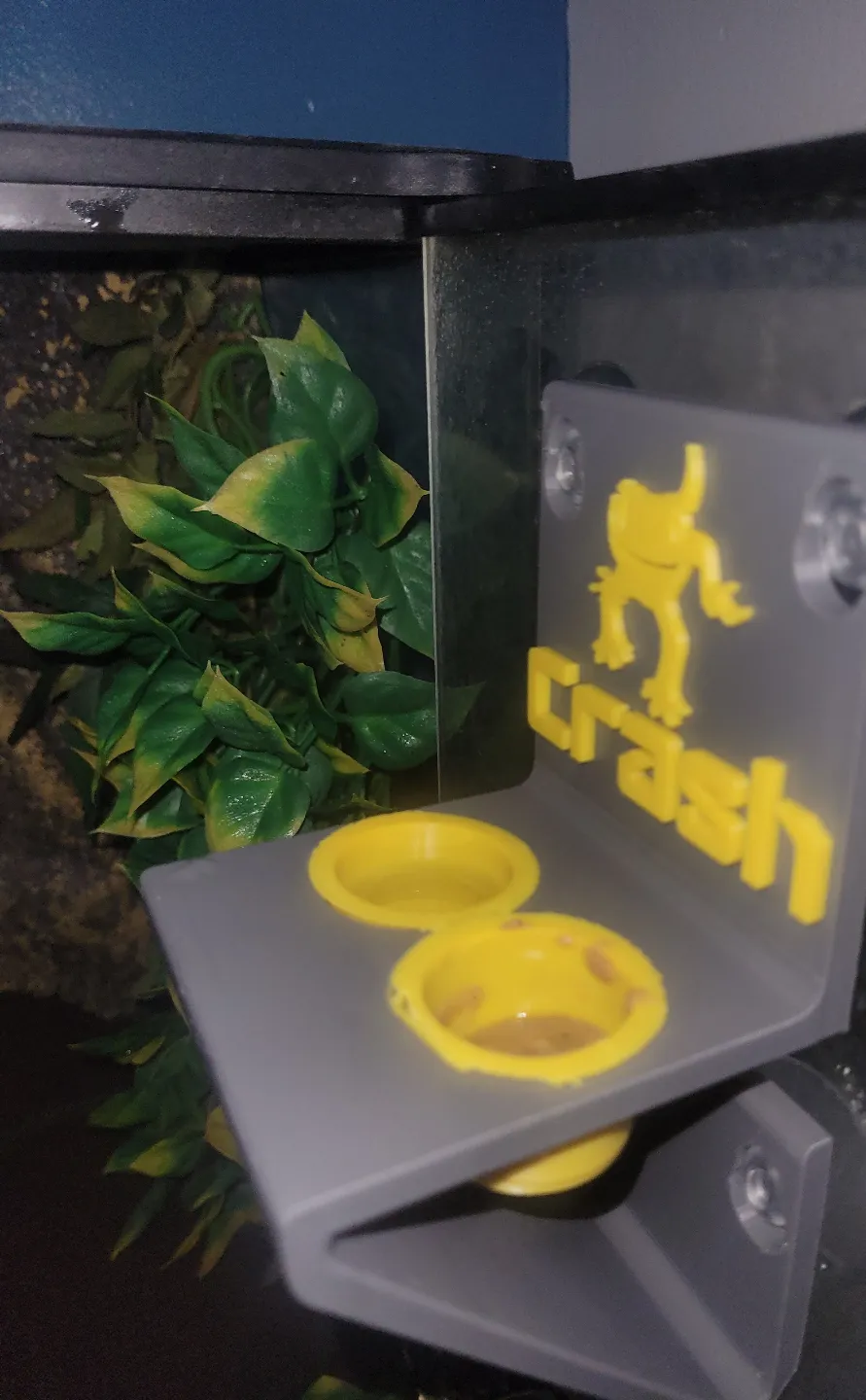 Crested Gecko Food Ledge by Dale_Nesbitt - MakerWorld