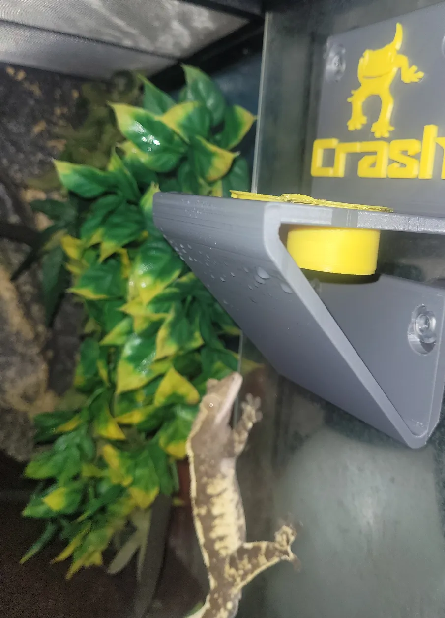 Crested Gecko Food Ledge by Dale_Nesbitt - MakerWorld