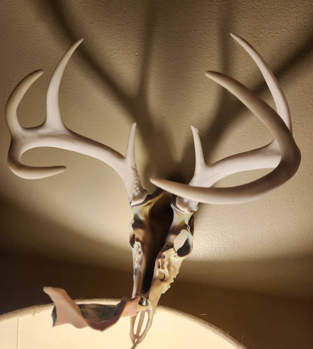 Deer Skull Vault Hidey-Hole - Free 3D Print Model - MakerWorld