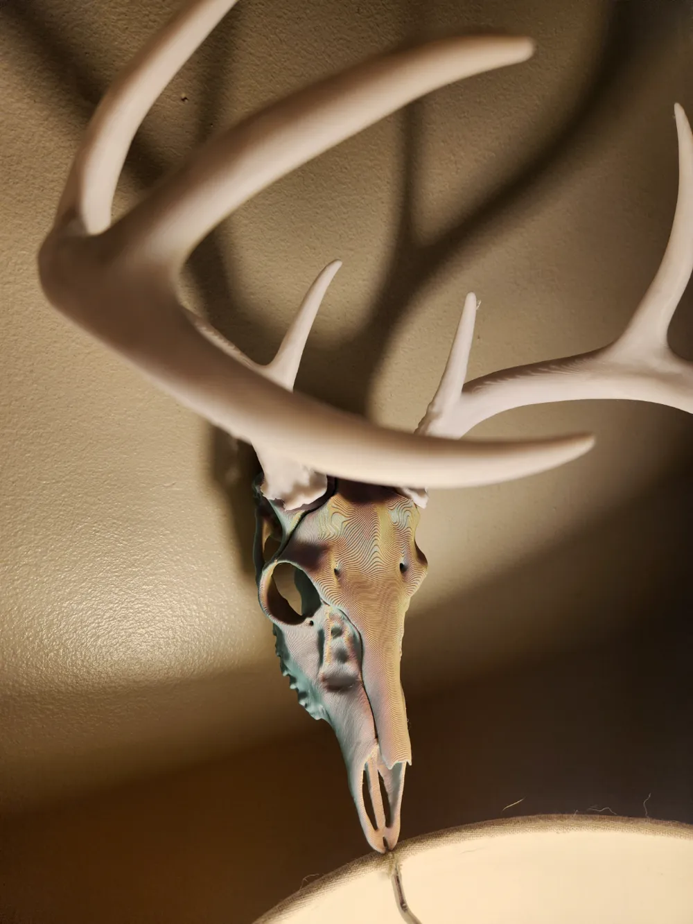 Deer Skull Vault Hidey-Hole - Free 3D Print Model - MakerWorld