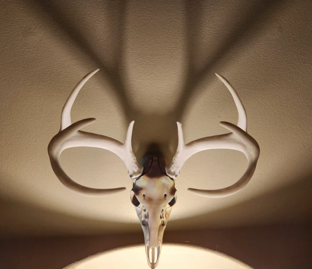 Deer Skull Vault Hidey-Hole - Free 3D Print Model - MakerWorld
