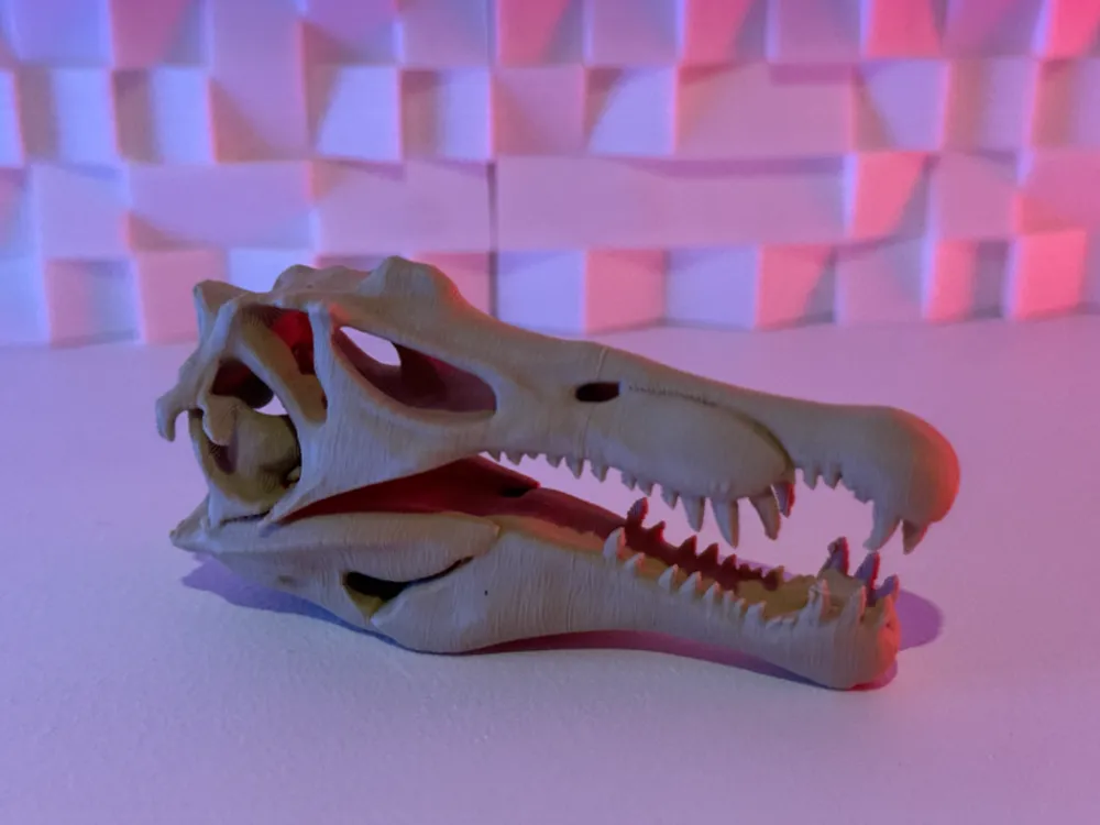 Spinosaurus Skull (5-20 Grams) - Free 3D Print Model - MakerWorld