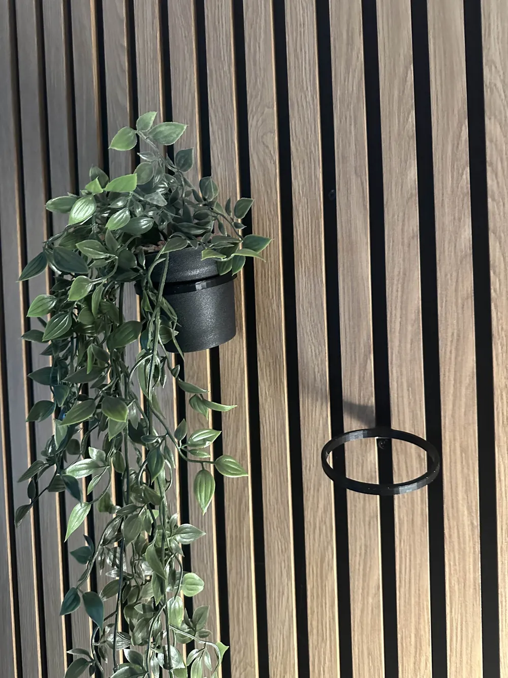 Slat wall plant mount (12,5mm slat width) by digic MakerWorld: Download ...