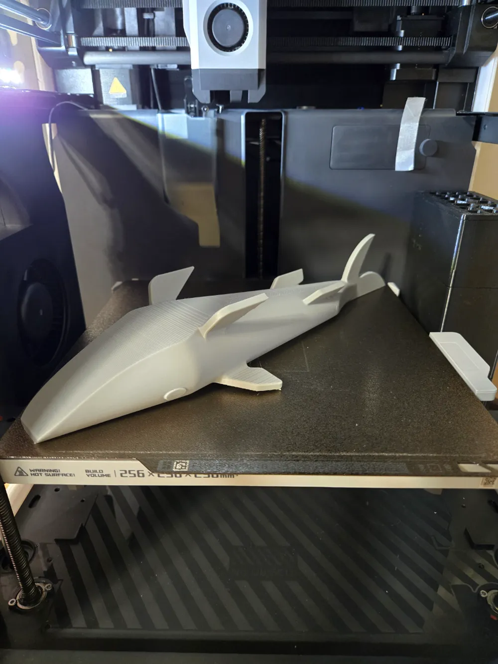 Remora Fish by Other_JW - MakerWorld