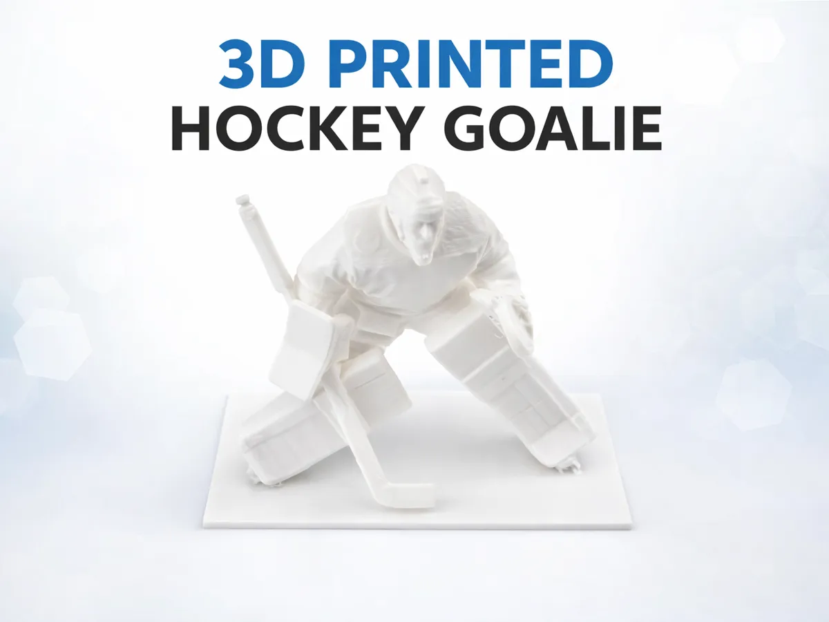 Hockey Goalie - Free 3D Print Model - MakerWorld