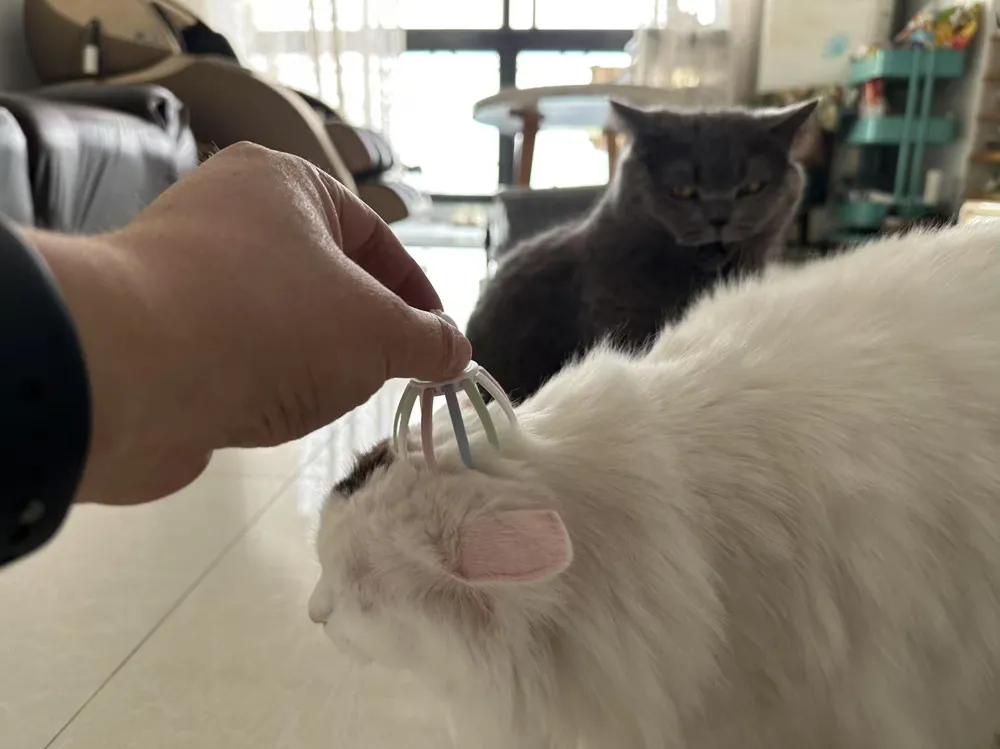 Head Massager AKA Soul Extractor by Kin1986MakerWorld: Download Free 3D ...