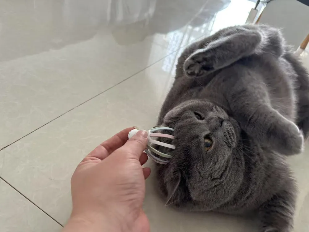 Head Massager AKA Soul Extractor by Kin1986MakerWorld: Download Free 3D ...