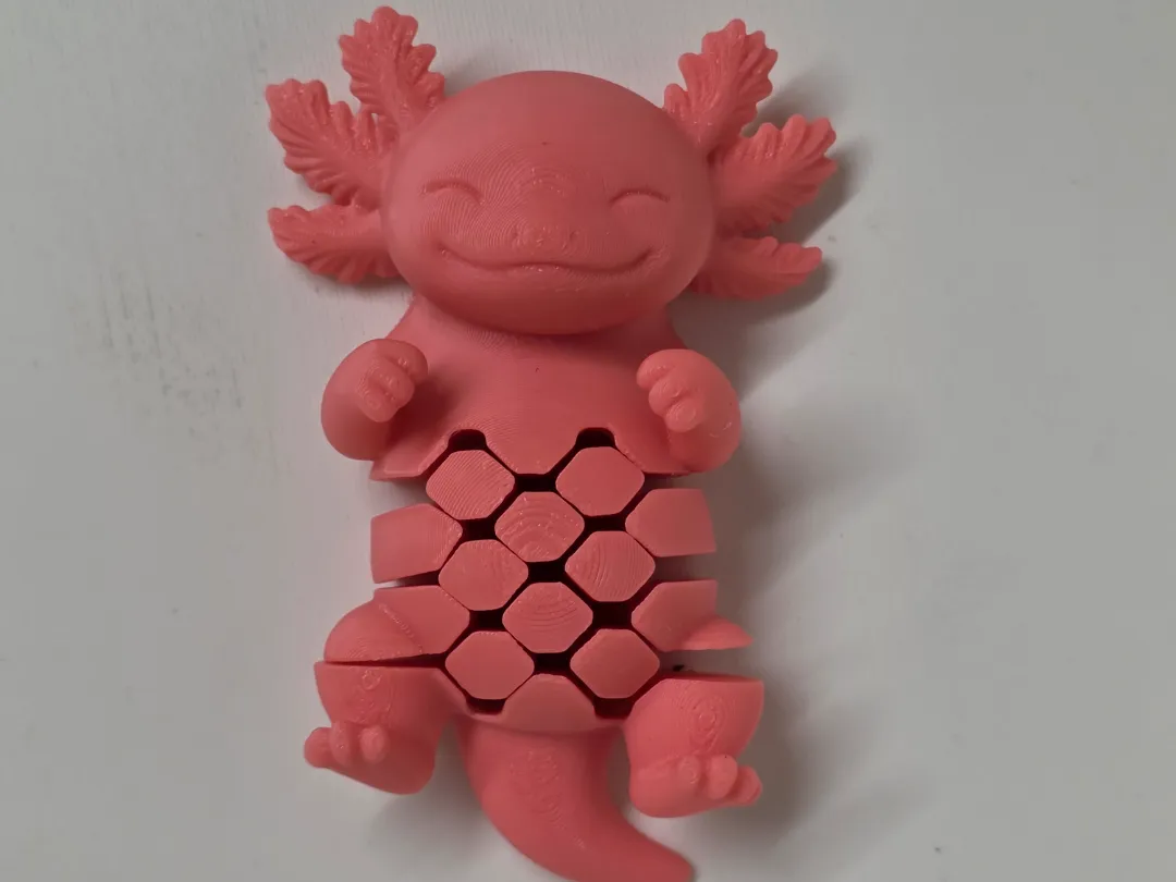 Flexi Axolotl - Free 3D Print Model - MakerWorld