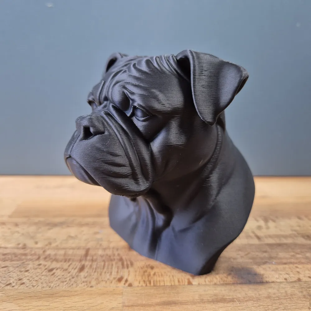 American Bulldog Bust by Mr.Jay MakerWorld: Download Free 3D Models