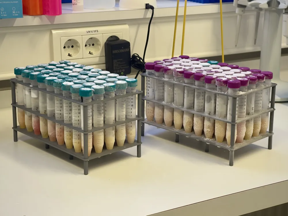Fully printable 15mL Lab Rack (stackable) by average3D MakerWorld ...