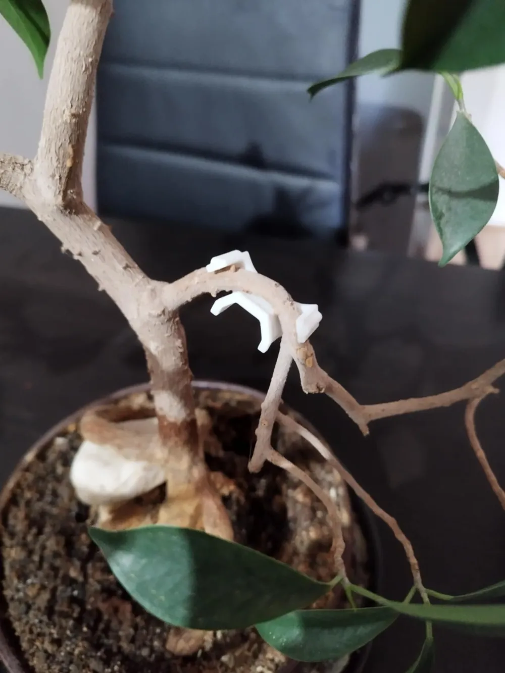 Strong LST clips - 2 different angles by Choosse23 MakerWorld: Download ...