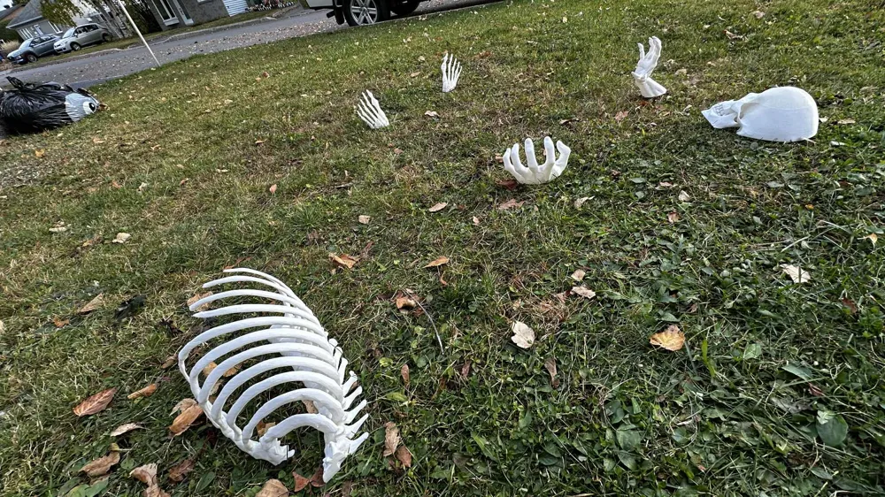 Halloween Ribs by Vincentbcd MakerWorld: Download Free 3D Models