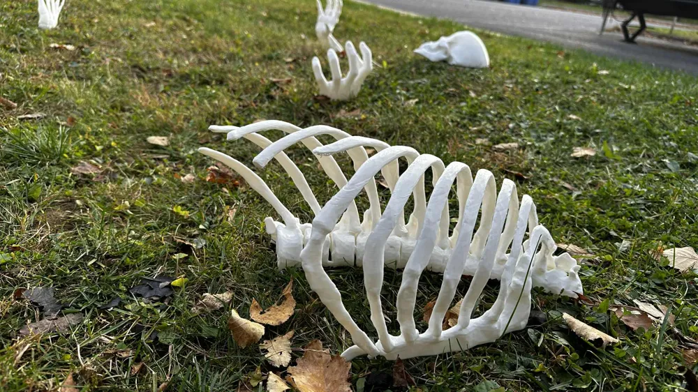 Halloween Ribs by Vincentbcd MakerWorld: Download Free 3D Models