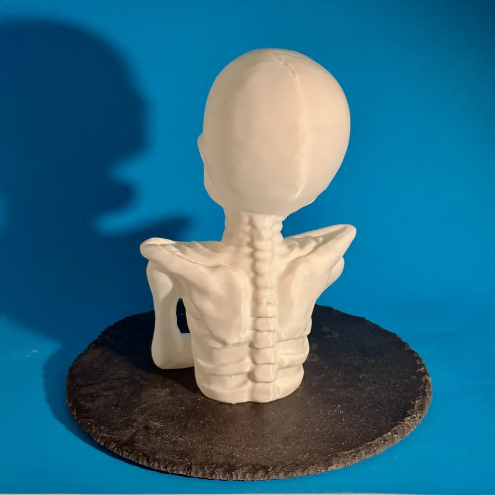 cute skeleton bust by cforms MakerWorld: Download Free 3D Models