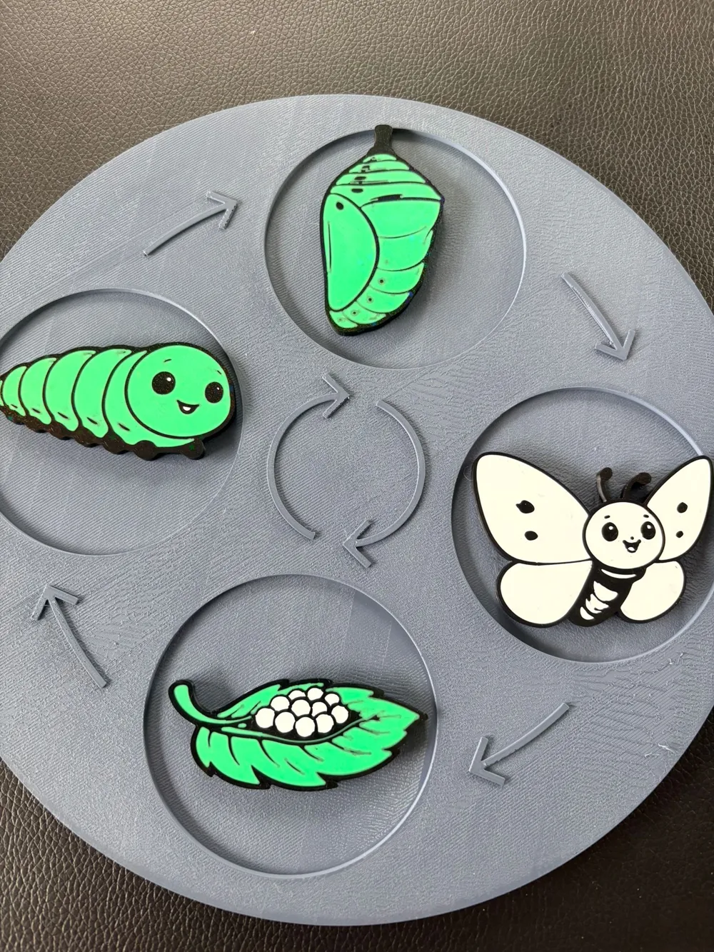 life cycle of a butterfly - Free 3D Print Model - MakerWorld