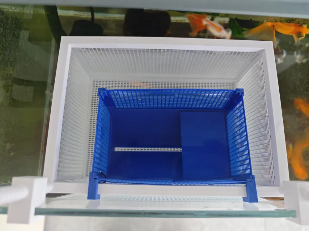 Fish Breeding Box Isolation Box Maternity Box by chongspider MakerWorld ...