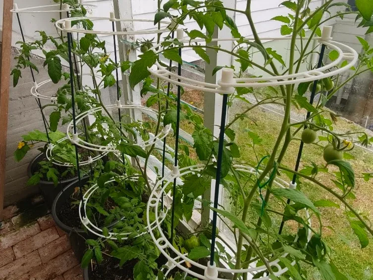 Anéis de Suporte para Tomate / Plantas - Modelo gratuito para impressão ...