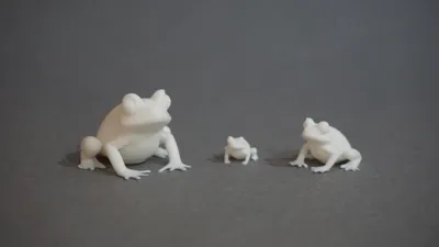 Cute frog (different sizes) by WunderWerk MakerWorld: Download Free 3D ...