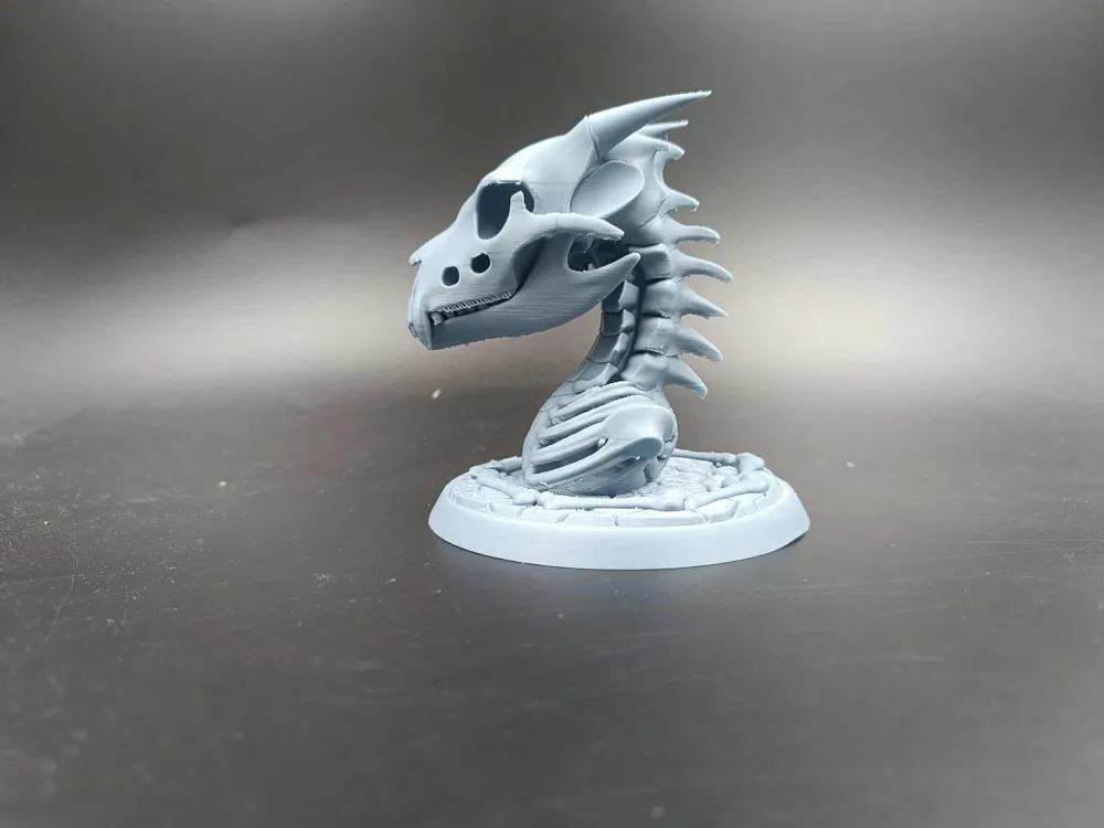 Dragon Skeleton Bust – Epic Bone Display by drakeforge3d MakerWorld ...