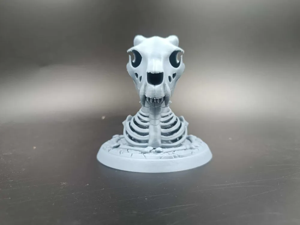 Dragon Skeleton Bust – Epic Bone Display by drakeforge3d MakerWorld ...