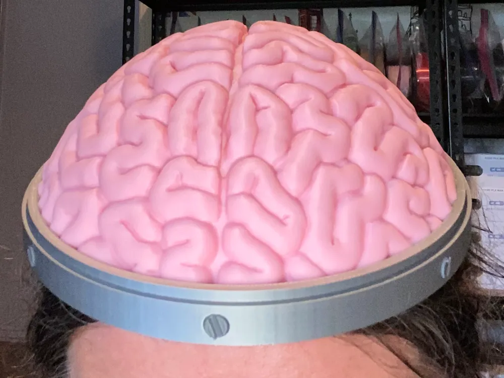 Brain Hat - Free 3D Print Model - MakerWorld