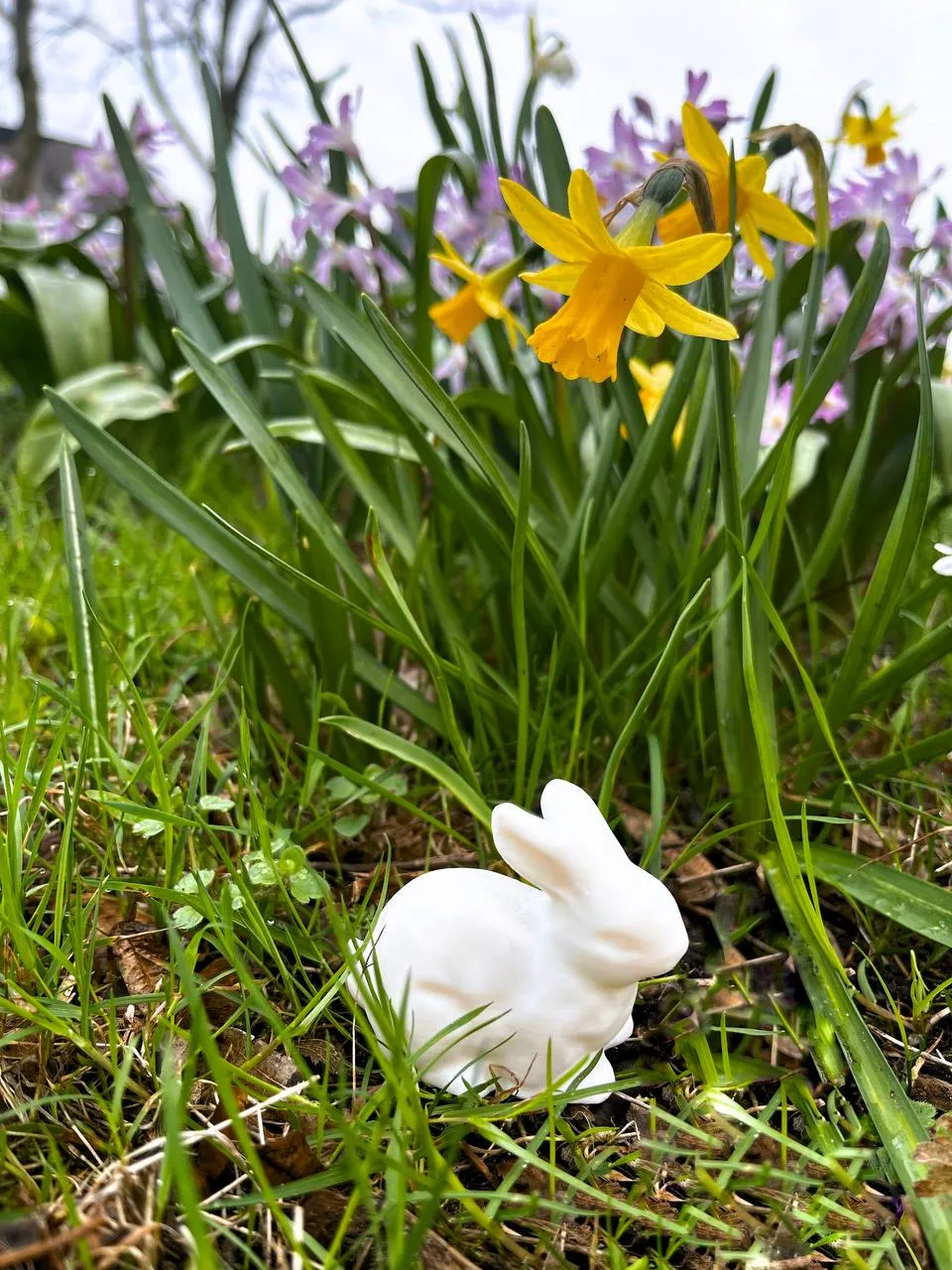Realistic easter bunny rabbit by Cy-Bea - MakerWorld