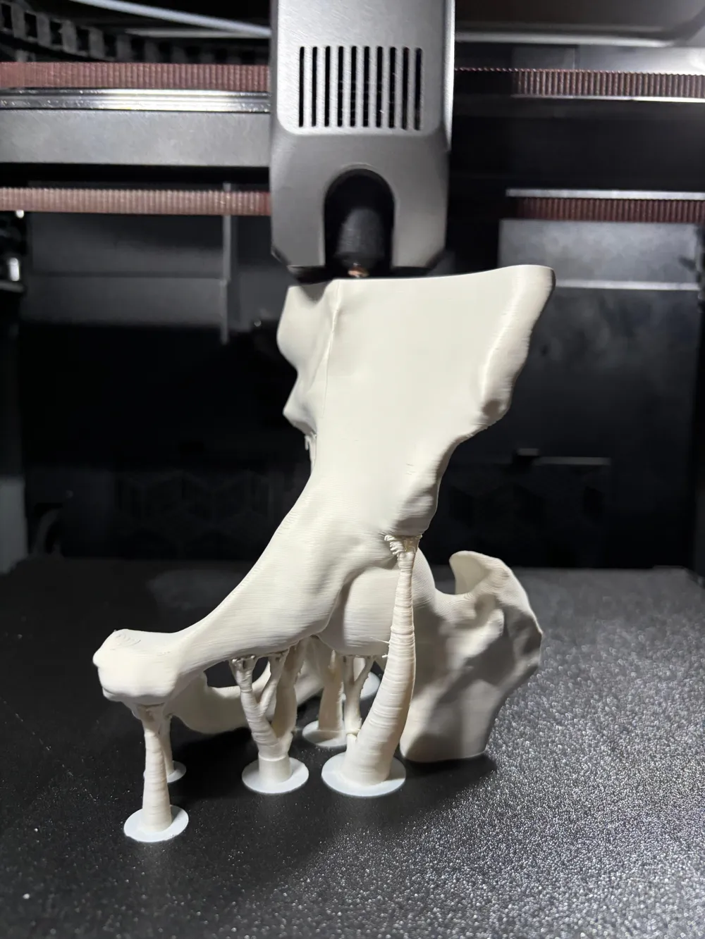 Real Human Hip (From CT scan) by Big Simi MakerWorld: Download Free 3D ...