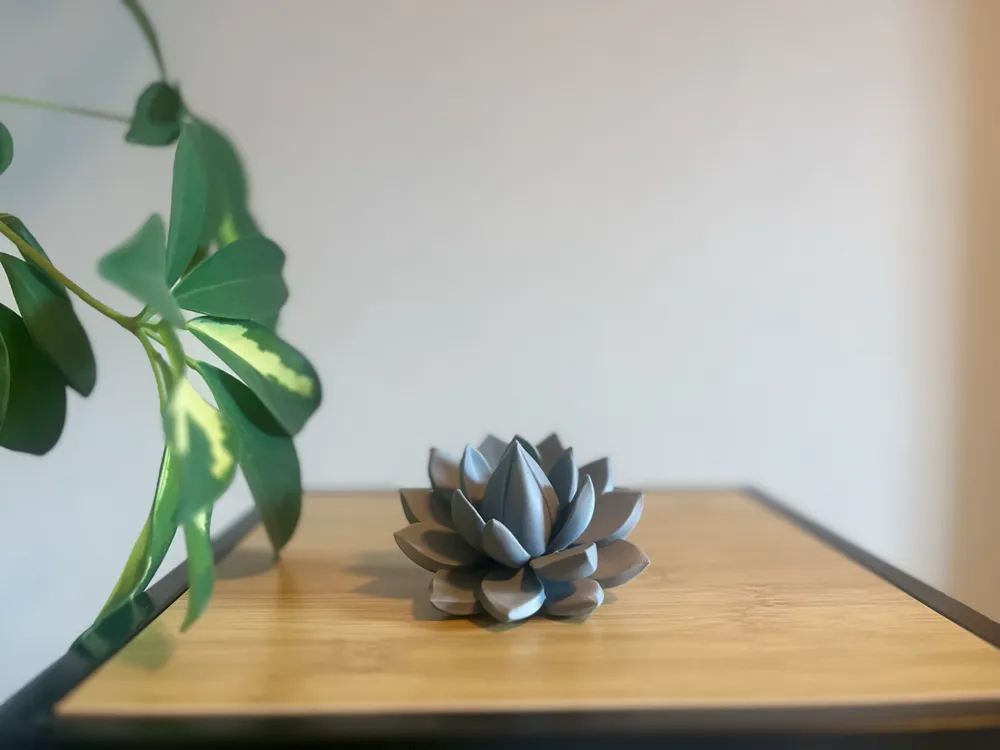 Lotus Flower by Eriksen42 MakerWorld: Download Free 3D Models