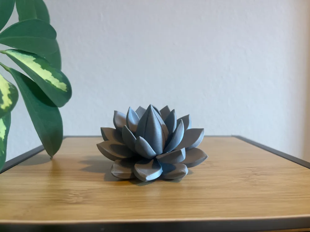 Lotus Flower by Eriksen42 MakerWorld: Download Free 3D Models