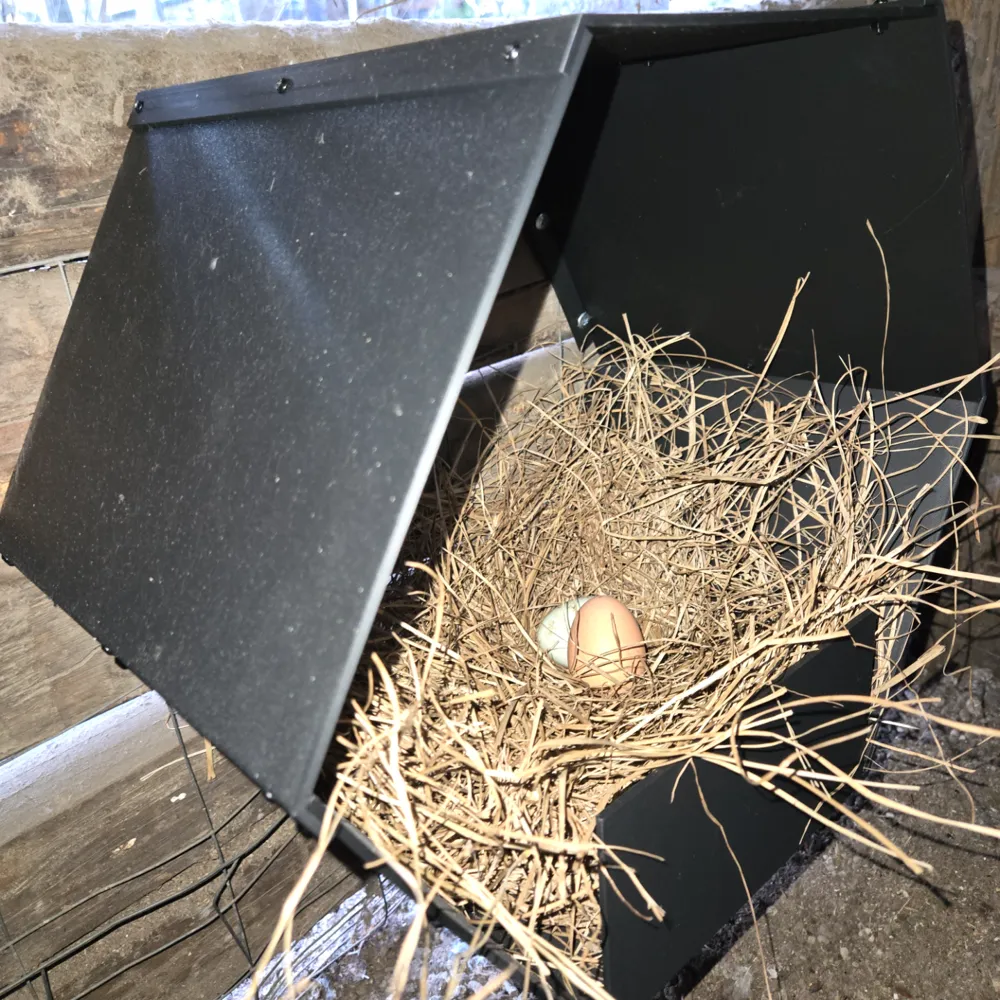 Chicken Nesting Box by JAZZEE - MakerWorld