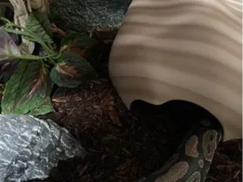 Serpent Sanctuary: The Large 3D Printed Snake Hide by MetaMatter 3D ...